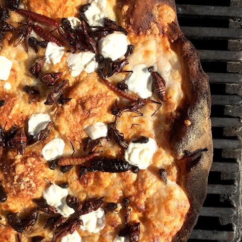 El arte de hacer que los niños prueben de todo (hasta pizza de insectos)