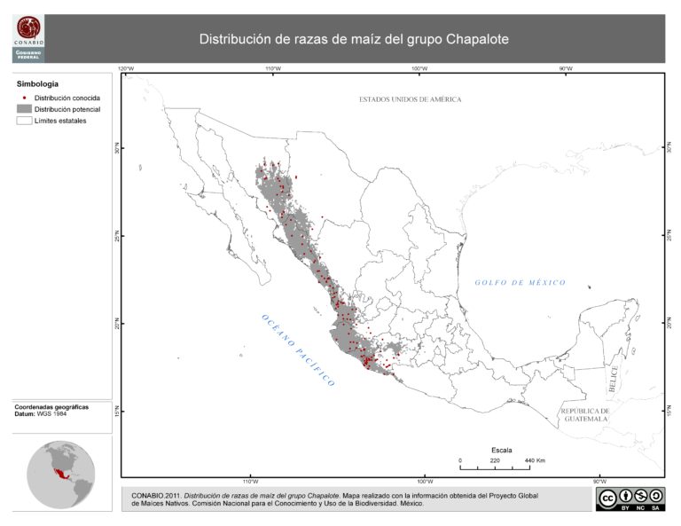 #MéxicoDeMaíz Las razas de maíz de la Sierra Madre Occidental – Animal ...