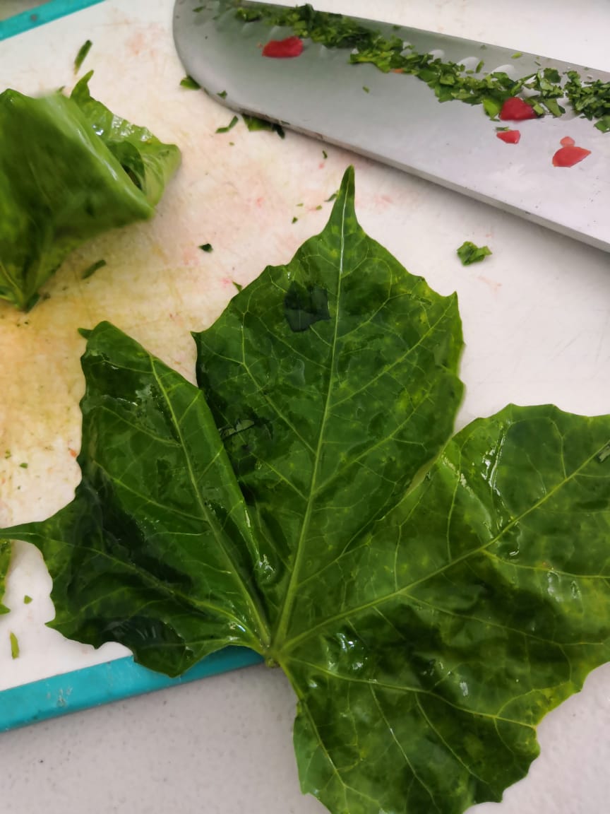 La chaya, un tesoro del sureste mexicano: sus sabores y beneficios