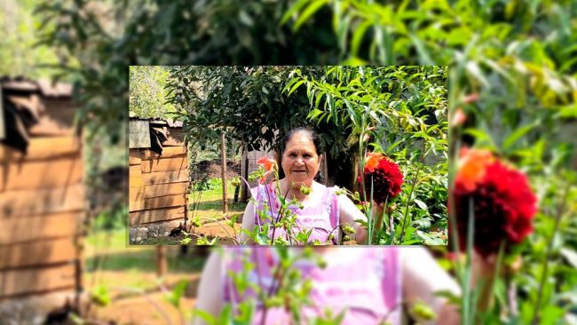 Doña Ángela, la protagonista De mi rancho a tu cocina en YouTube ...