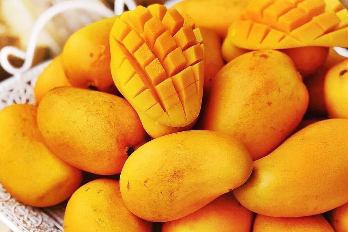 La sorprendente historia del Mango Ataulfo, un producto 100% mexicano