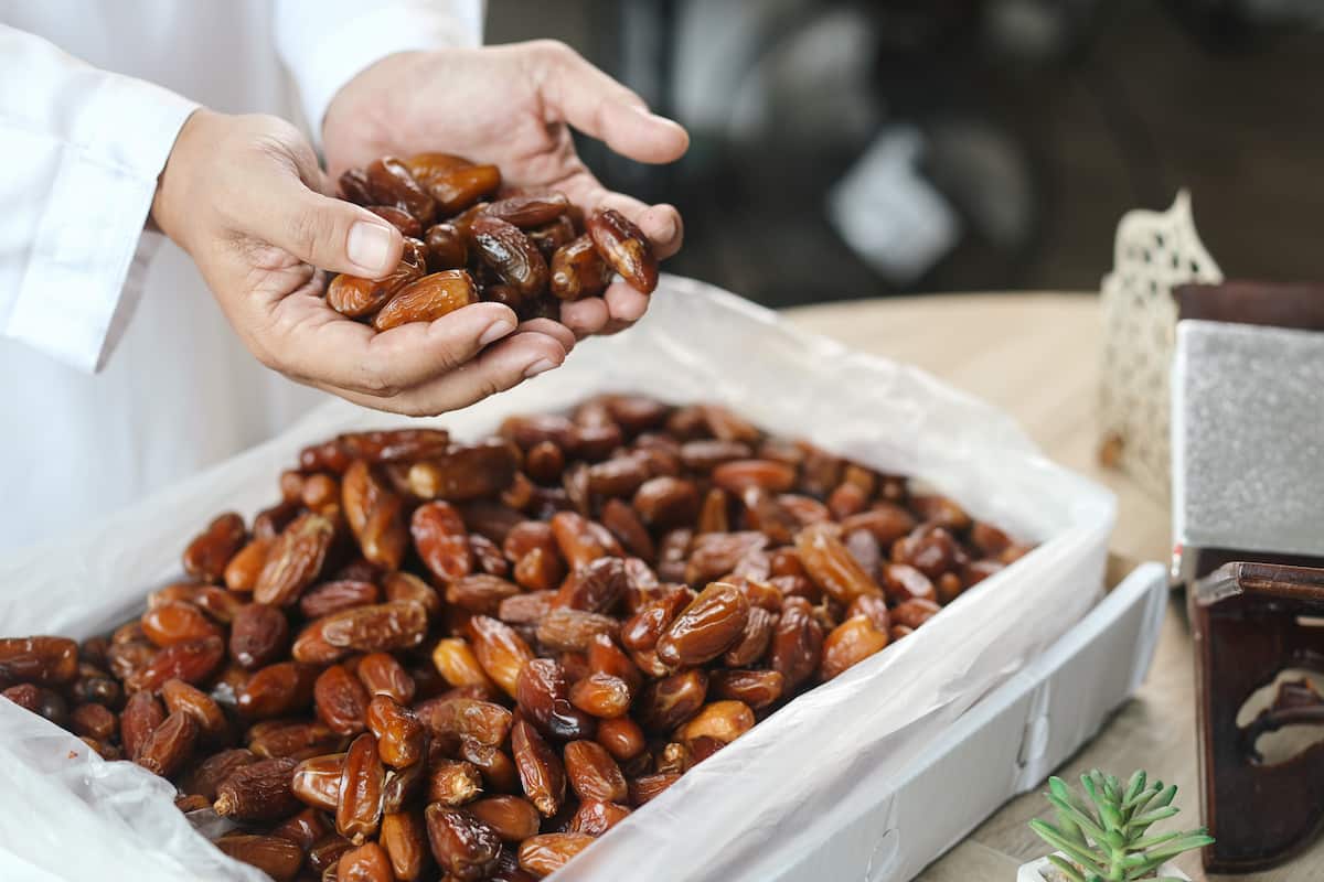 Vamos a la cosecha de dátiles, un evento que nos acerca con este fruto