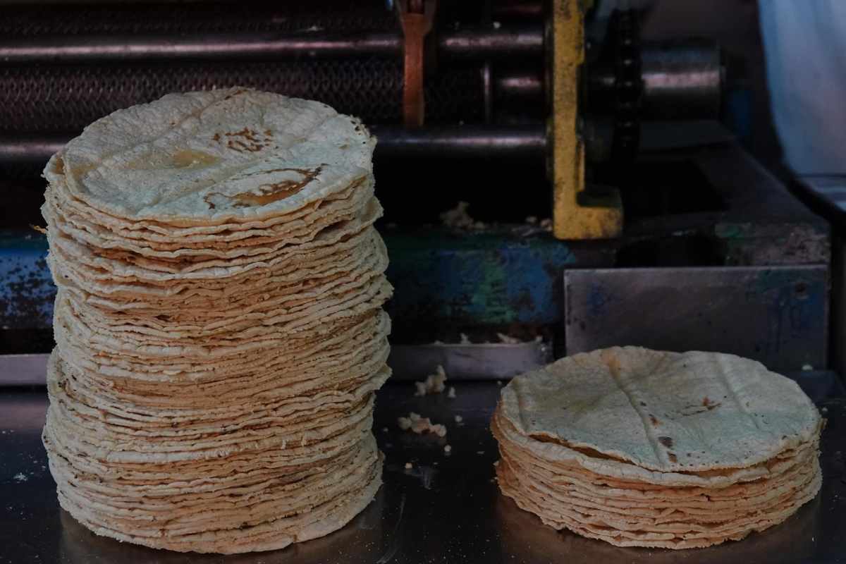 Sheinbaum buscará bajar el precio de la tortilla un 10% y así planea ...
