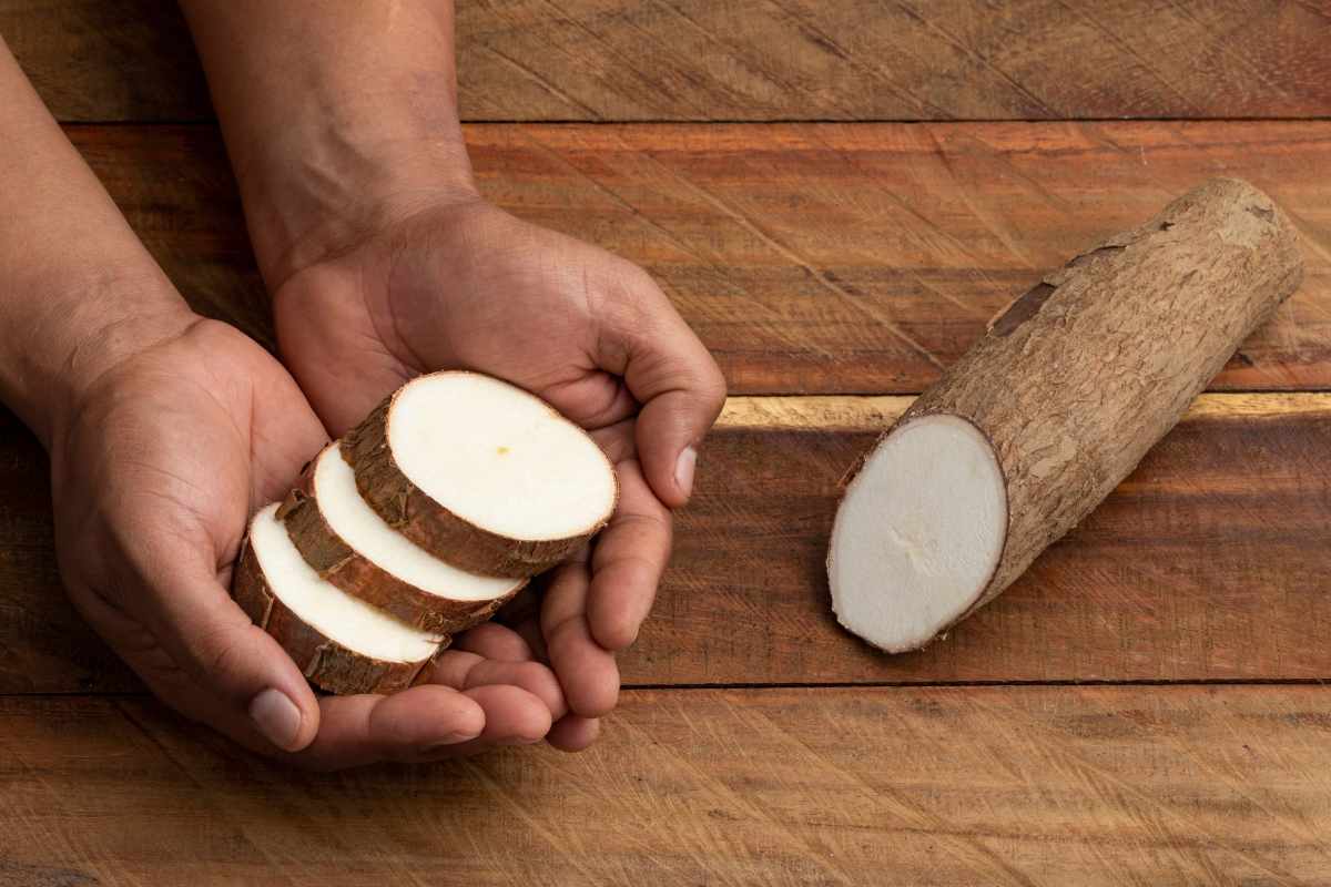 ¿Qué es el casabe de yuca? Así se prepara este platillo declarado ...