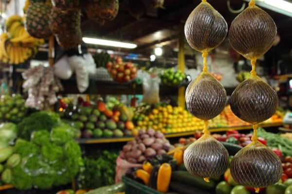 ¿Qué es el borojó? Fruta con el que se hace el famoso “Jugo del Amor”