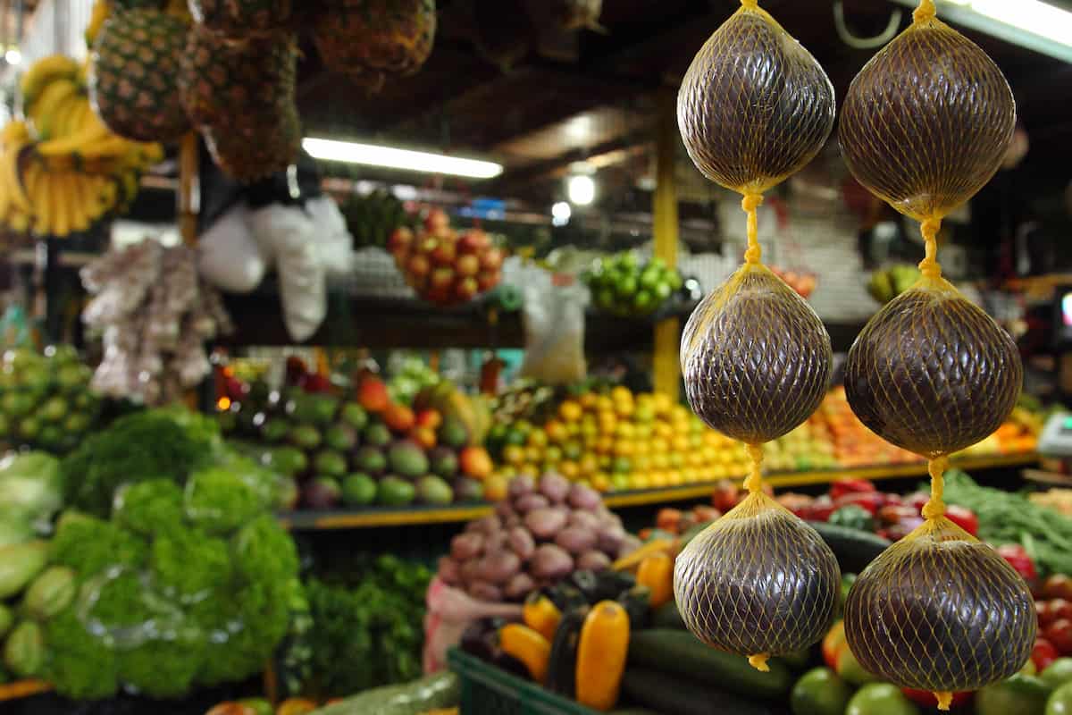 ¿Qué es el borojó? Fruta con el que se hace el famoso “Jugo del Amor”