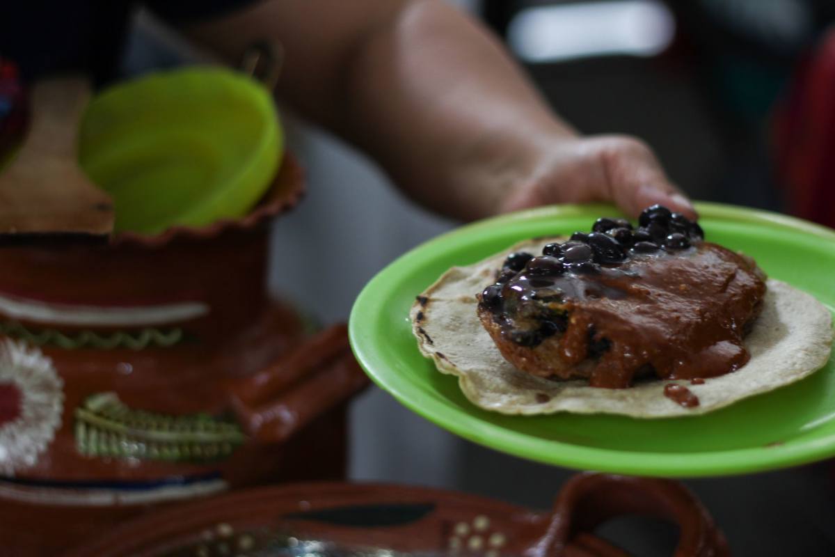 Caviar mexicano: conoce el ahuautle, un manjar prehispánico de Cuaresma ...