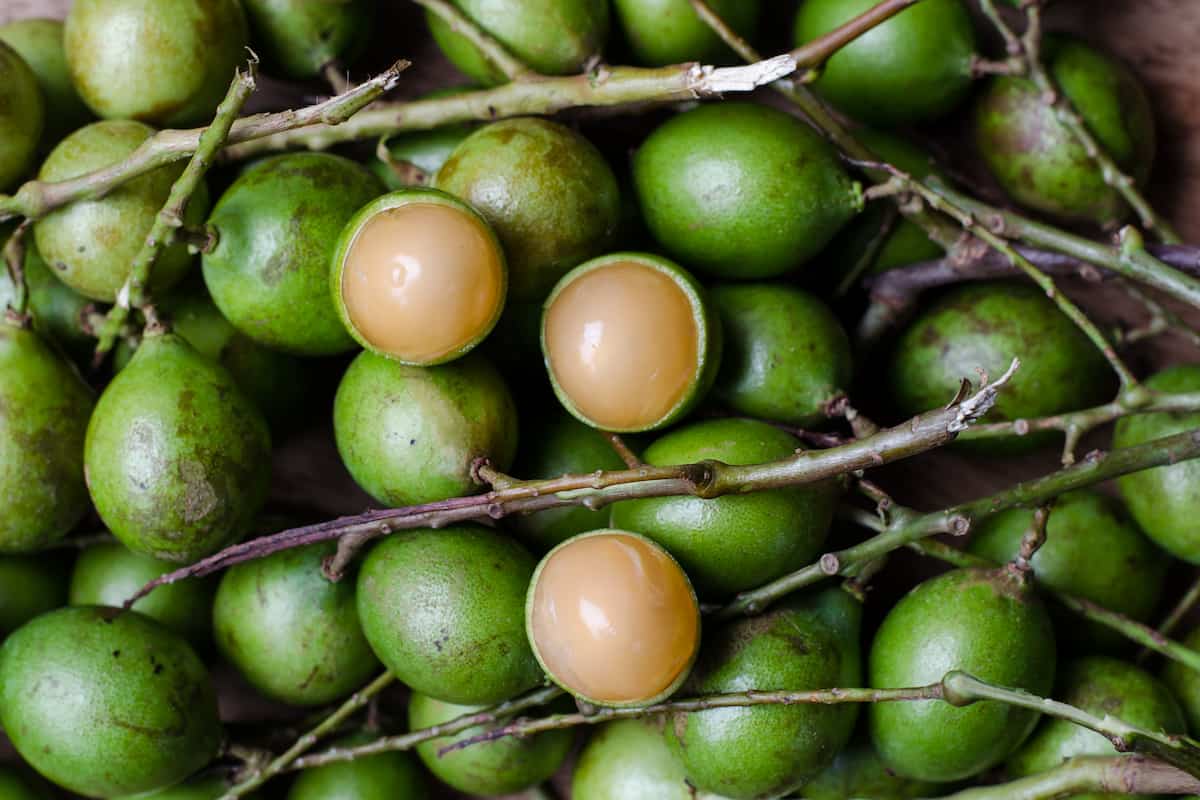 ¿Qué es la guaya? La fruta yucateca que a la vista parece un limón pero ...