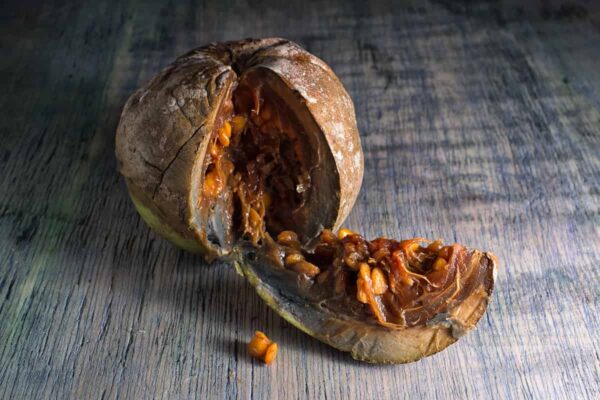¿Qué es el borojó? Fruta con el que se hace el famoso “Jugo del Amor ...