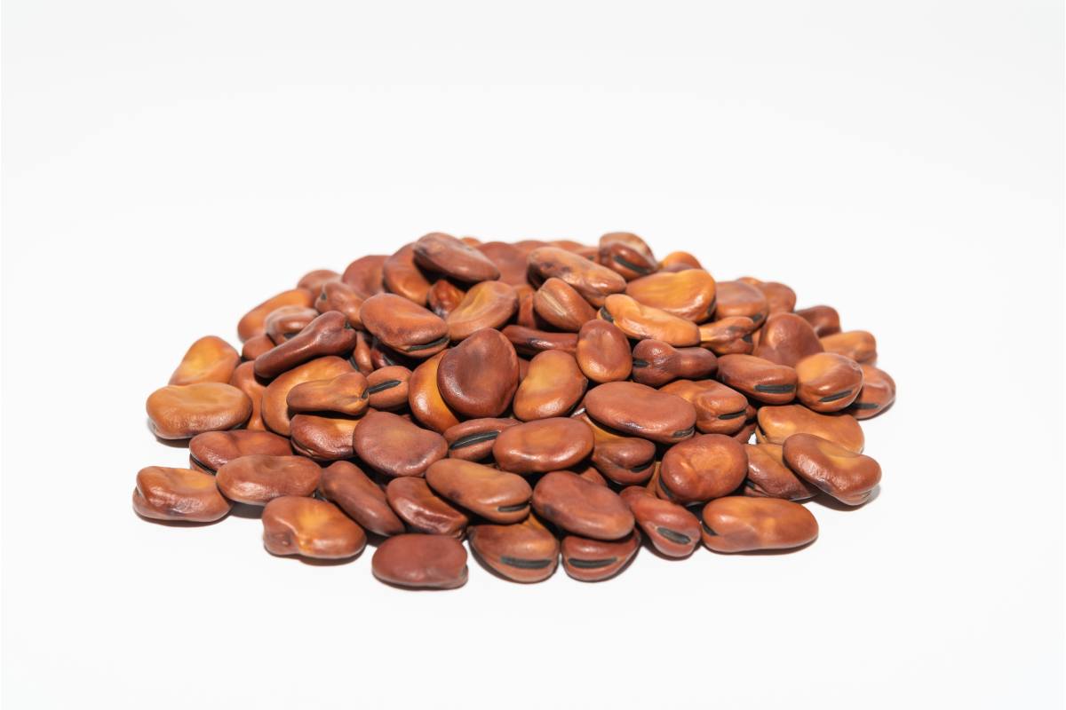 Si buscas una receta rica y saludable, estas habas secas con chile se ...