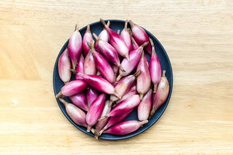 ¿Qué es la piñuela? y ¿para qué sirve esta fruta yucateca?