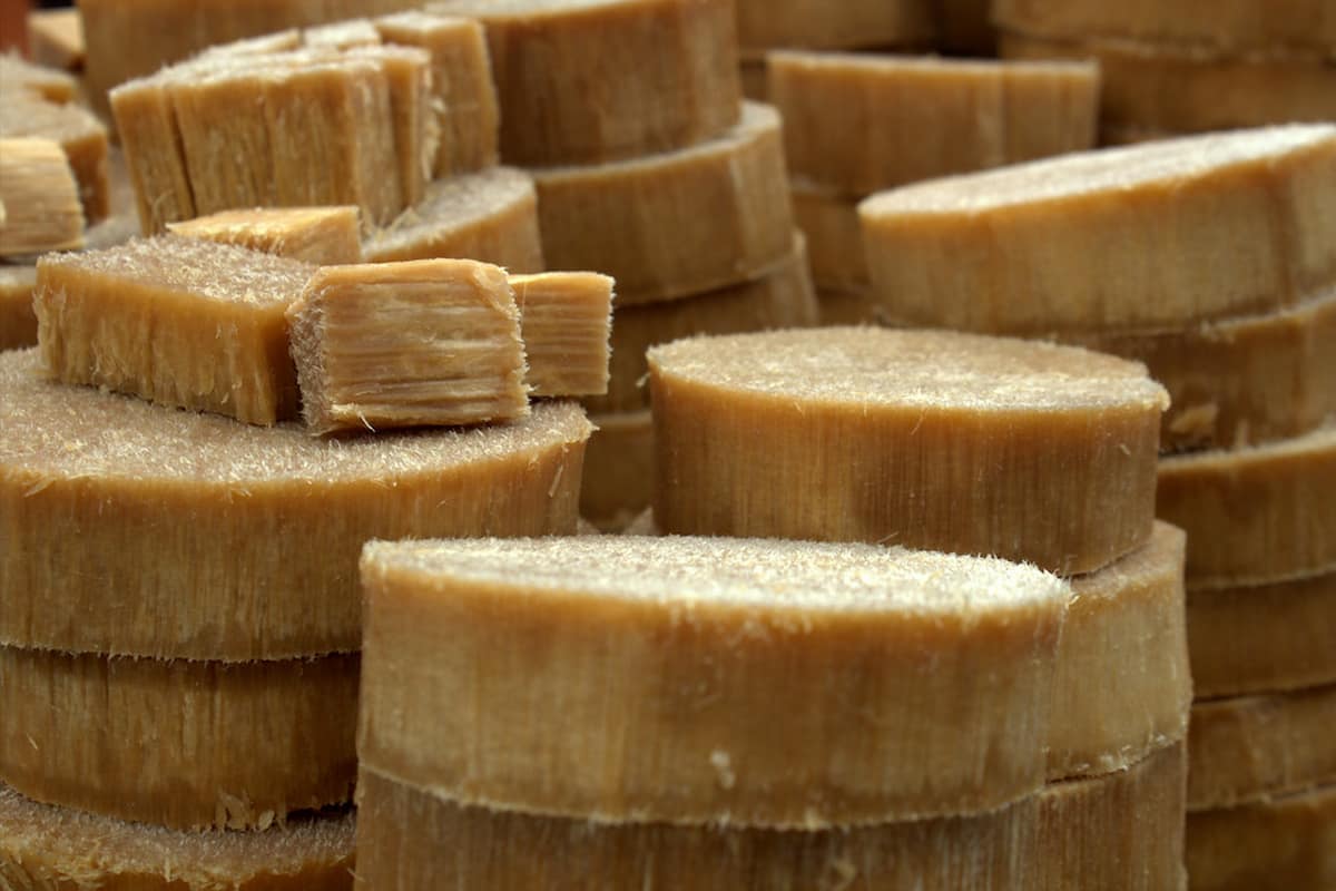 Mucho más que pulque, este es el dulce típico que da el ancestral quiote