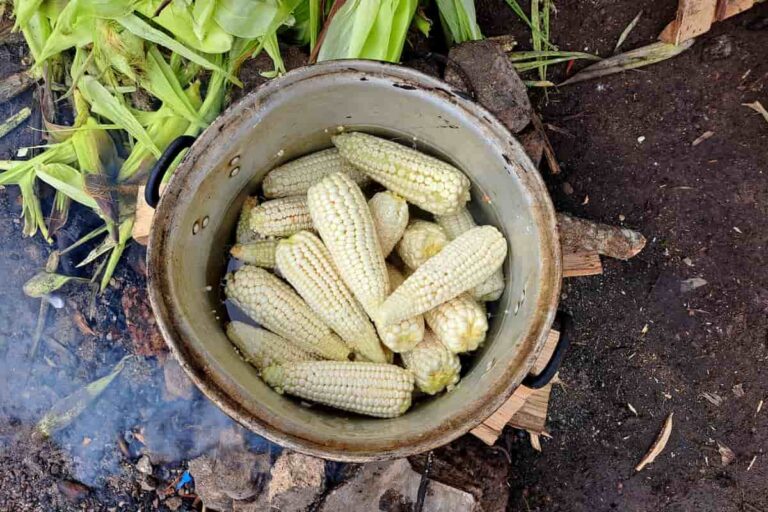3 maneras sencillas de cocer elotes en casa