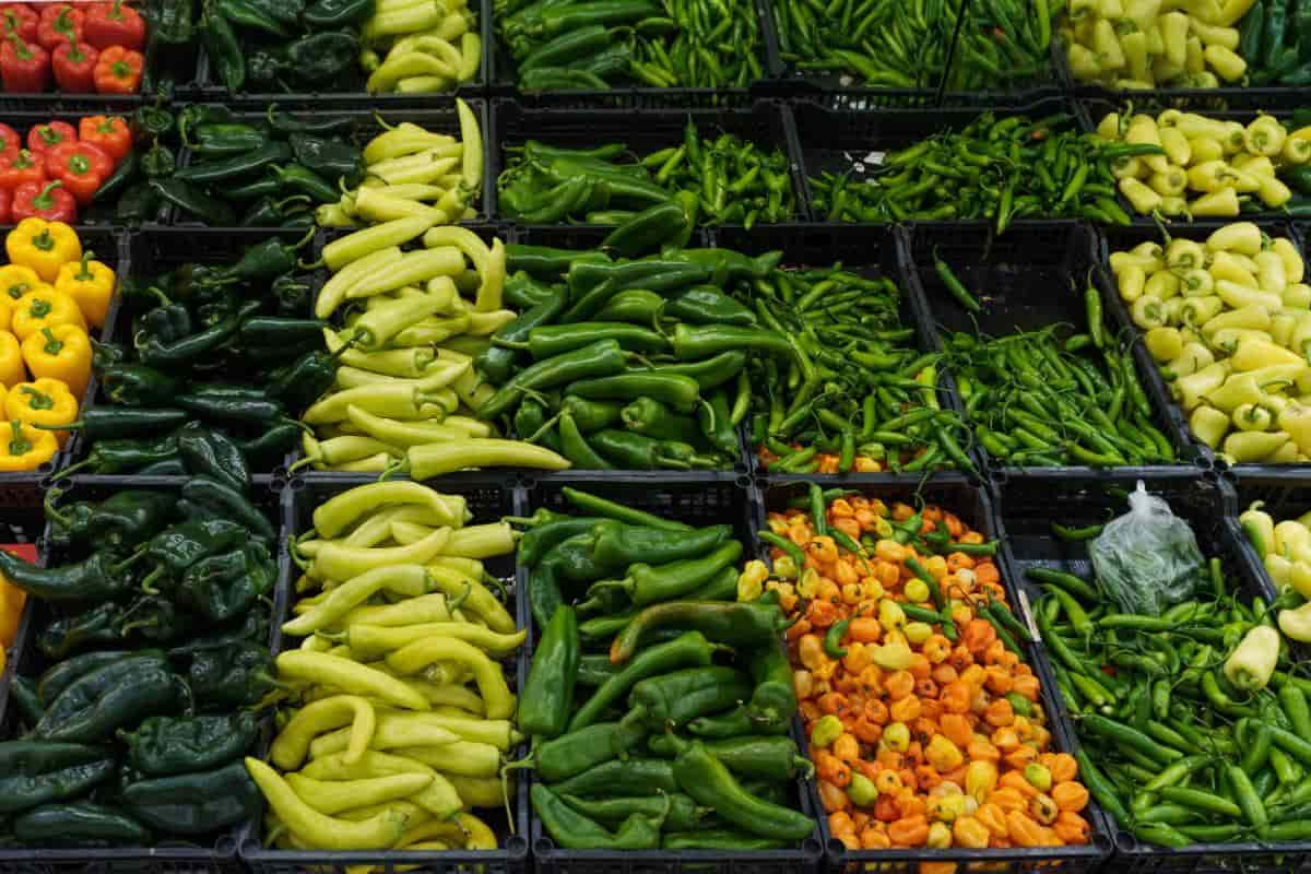 Día mundial de la comida picante: ¿Por qué nos gusta tanto el “fuego ...